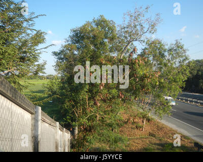 The Crossing Bridge in Malis, Guiguinto, Bulacan, is an important ...