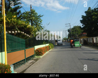 01352 Paddy fields grasslands, trees Roads Sipat Dampol Lagundi ...