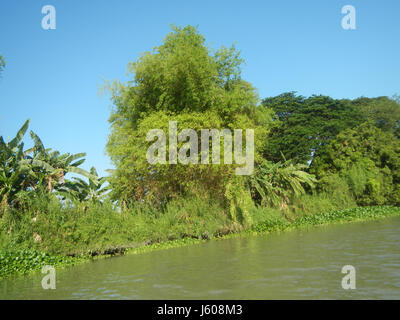 A scenic view of the riversides along the districts of Calumpit in ...