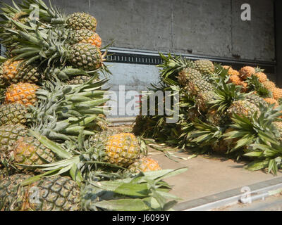 01283 Queen Formosa pineapple Philippines Apolonio Samson Market Quezon ...
