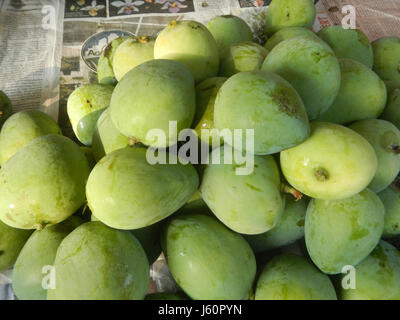 02402 Fruits Meyto Road Calumpit Candelaria Masantol Pampanga Bulacan ...
