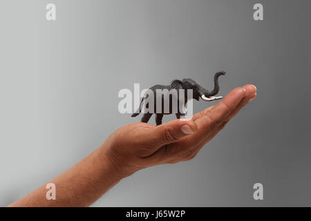 toy elephant in hands with gray background Stock Photo - Alamy