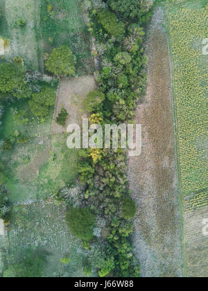 An aerial view of a green landscape with pathways and shrubs Stock ...