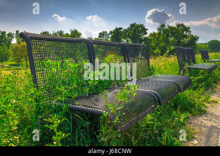 Grid metal bench on a sunny day Stock Photo - Alamy