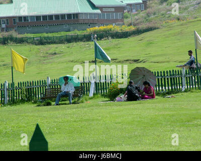 Flower Garden, Gulmarg Tourism And Travel, Summer beauty of Gulmarg ...