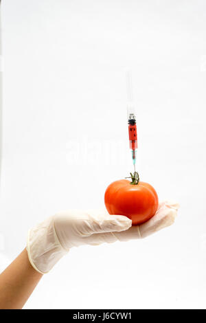 GMO concept. Scientist injecting liquid into microgreens at table in ...