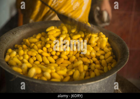 Boiling Silkworm Cocoons Stock Photo - Alamy
