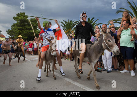 Donkey race in Kukljica, island Ugljan, Dalmatia, Croatia Stock Photo ...