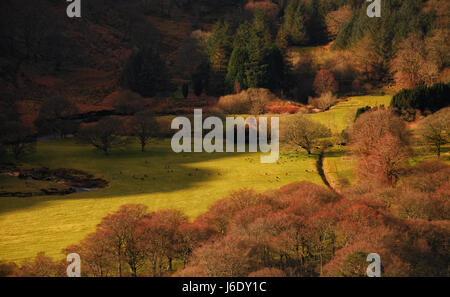 Luggala Valley, Co. Wicklow, Ireland Stock Photo - Alamy
