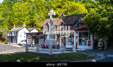 New Forest, Burley, A Coven of Witches" Shop Stock Photo - Alamy