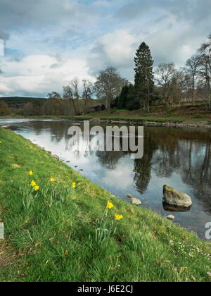 River Dee near Banchory, Royal Deeside Scotland in winter with snow ...