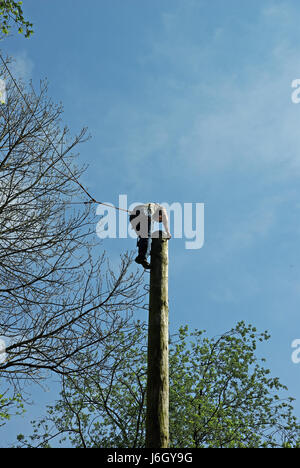 rise at pamper pole Stock Photo - Alamy