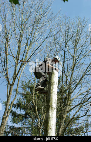 rise at pamper pole Stock Photo - Alamy