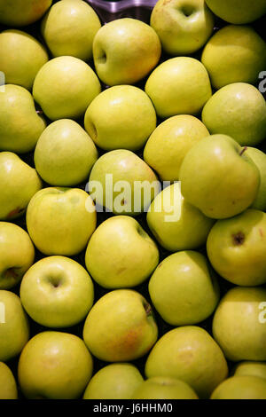food,aliment,vertical,array of round courgettes,green fruit Stock Photo ...