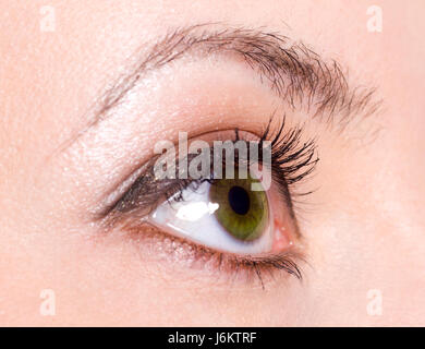 Closeup shot of a young caucasian female posing with a leaf Stock Photo ...