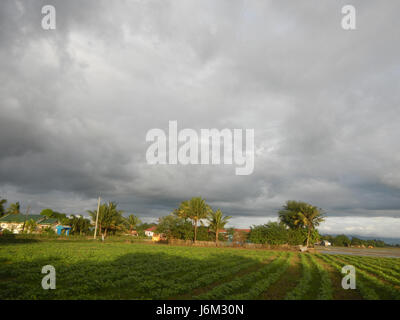 This image depicts Sitio Hulo Hilerang Patubig in Candaba, Pampanga ...