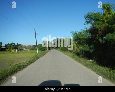 08915 Balucuc Apalit Pampanga paddy fields grasslands trees Centro ...
