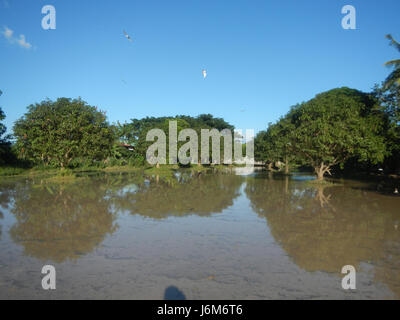 This image depicts the rural landscape of Balucuc in Apalit, Pampanga ...