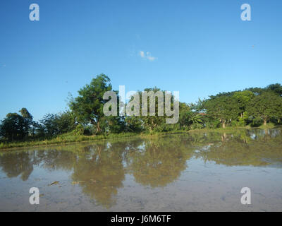 This photograph depicts the rural landscape of Balucuc in Apalit ...