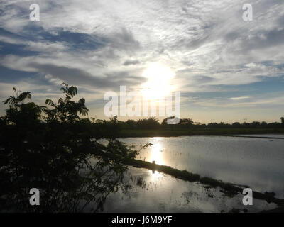 The paddy fields and grasslands of Sumacab Sur Norte, Cabanatuan City ...