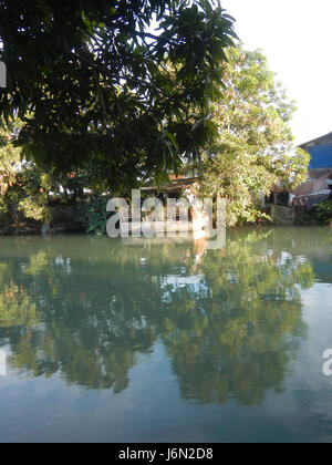 The image shows the agricultural landscape of Sabang, Baliuag, Bulacan ...