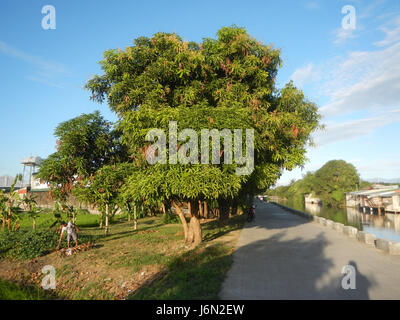 This image captures the rural landscape of Sabang, Baliuag, Bulacan ...