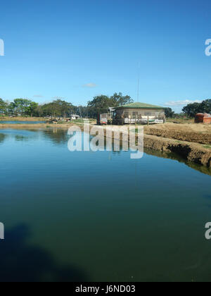 This image shows fish ponds located in Malamig, Bustos, Bulacan. Fish ...
