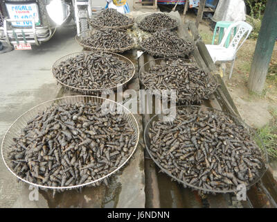 0730 Halaan Philippines Susong pilipit Agurong Tabagwang Bulacan ...