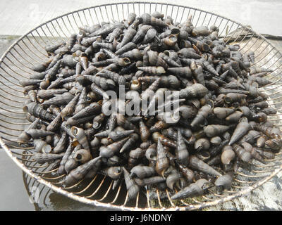 0730 Halaan Philippines Susong pilipit Agurong Tabagwang Bulacan ...