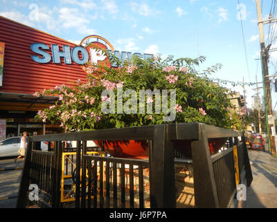 This entry refers to the METRO San Antonio Abad, a public transport ...