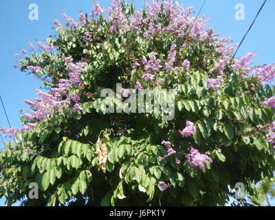 A photograph of the municipal roads and barangays in San Rafael ...