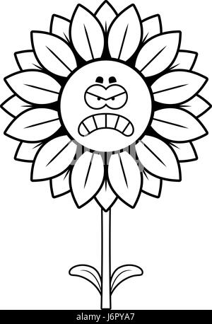 A cartoon illustration of a sunflower looking angry Stock Vector Image ...