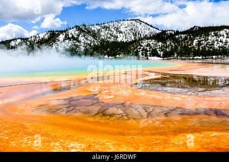 The vibrant colours of Grand Prismatic Spring in Yellowstone National ...
