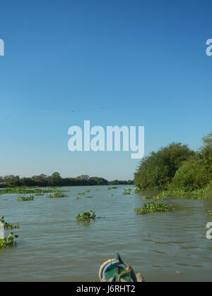 A view of the river districts in the Candelaria Delta region of ...