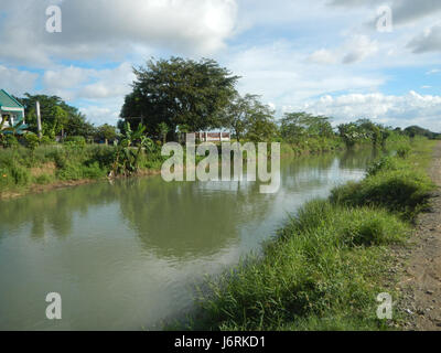08723 Paddy fields trees irrigation canals Farm to Market Road Talampas ...