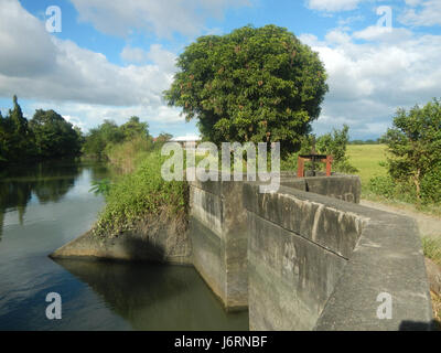 This image shows the agricultural landscape of Talampas, Bustos ...