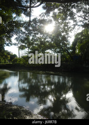 09040 Paddy fields trees irrigation canals Farm to Market Road ...