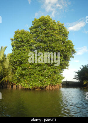 The Riversides Districts, located in the regions of Calumpit, Bulacan ...