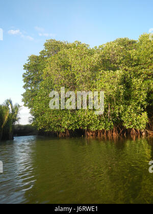 The Malolos and Bulakan River districts in the Philippines are known ...