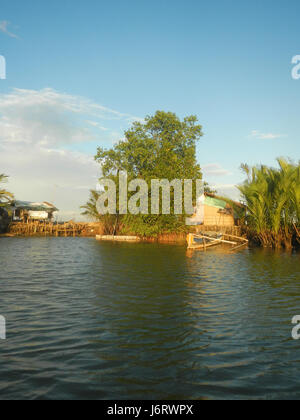 This image depicts the riverbanks of Panasahan in Malolos City, Bulacan ...