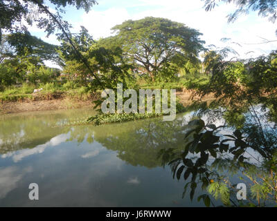 This image showcases the rural landscape of Talampas, Bustos, Bulacan ...