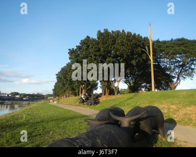 The Marikina River Park features statues of carabaos, a traditional ...