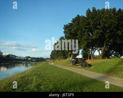The Marikina River Park features statues of carabaos, a traditional ...