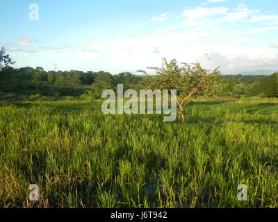This image highlights solar-powered agricultural communities in rural ...