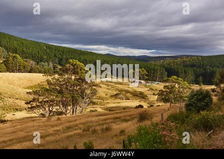 Framland with road in Tasmania, Australia Stock Photo - Alamy