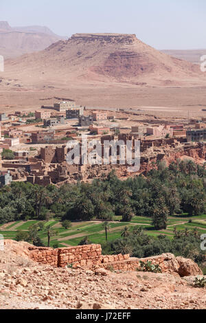 brown bush in valley morocco africa the Stock Photo - Alamy