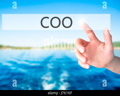 COO - Hand pressing a button on blurred background concept . Business ...