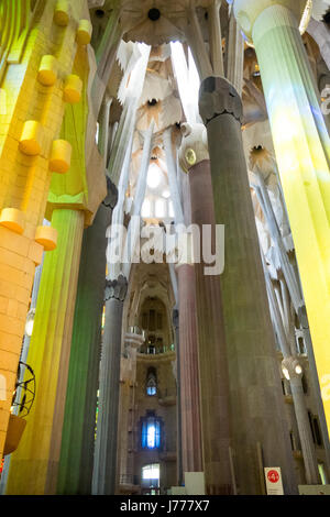 Elaborate and decorative tree like columns and ceiling in Gaudi's ...
