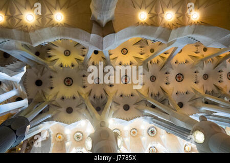 Elaborate and decorative tree like columns and ellipsoids in Gaudi's ...