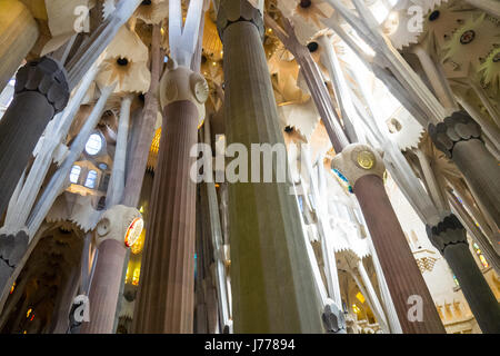 Elaborate and decorative tree like columns and spiral staircase in ...